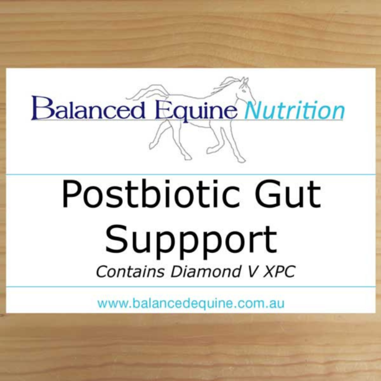 Postbiotic Gut Support (Diamond V XPC) - My Horse Supplies