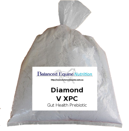 Diamond V XPC Gut Health Prebiotic - My Horse Supplies